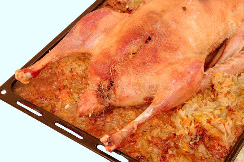 Baked goose stock image. Image of focus, lunch, appetizing - 22671723