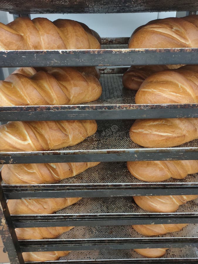 Baked Loaves of White Bread in the Bakery Stock Image - Image of bread ...