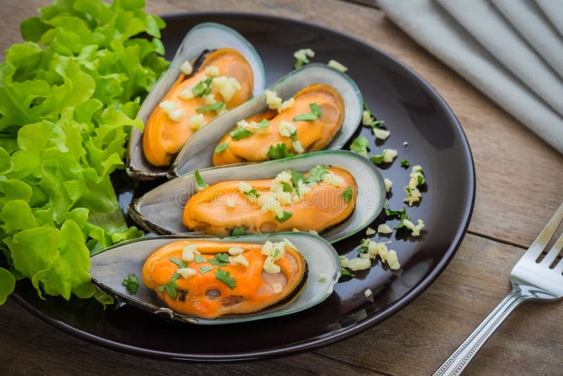 Baked mussels stock photo. Image of cheese, meal, mollusk - 69394828