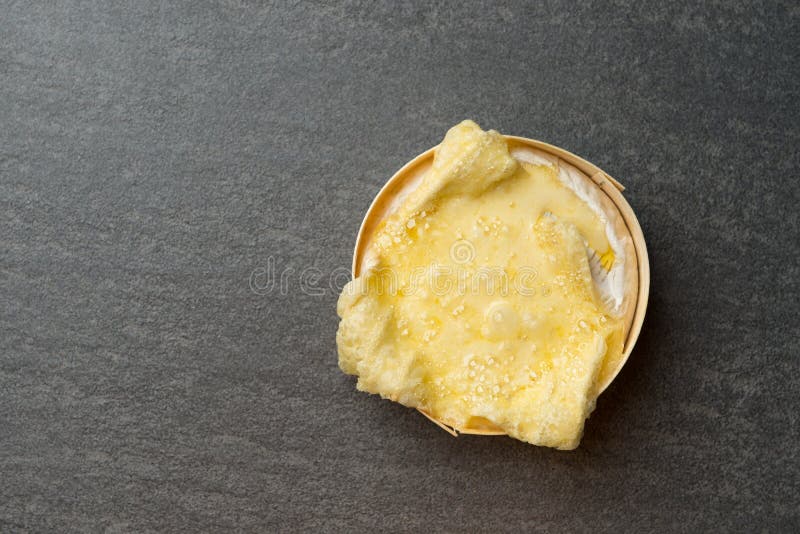 Baked oven cheese stock photo. Image of cheese, golden - 37736382