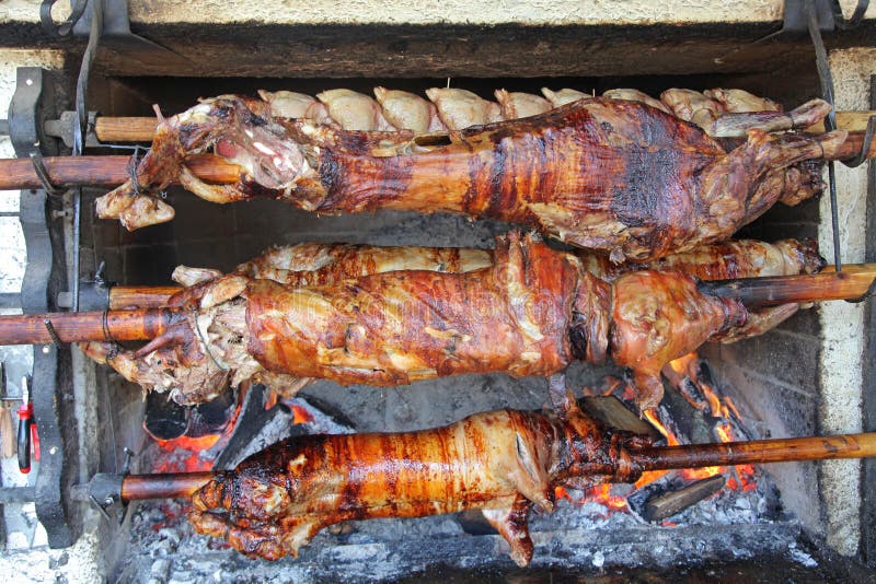Baked pig stock image. Image of cooked, grillroom, brown - 32567141