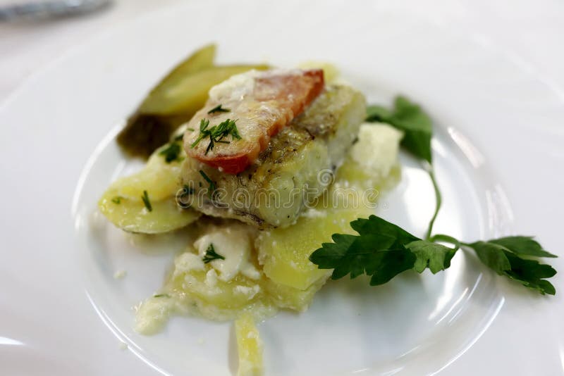 Baked pike perch fillet stock image. Image of gourmet - 153318031