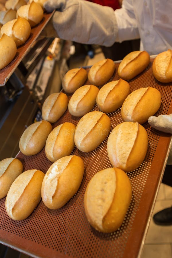 Baked Plain Buns in a Bakery Stock Photo - Image of food, baked: 80331888