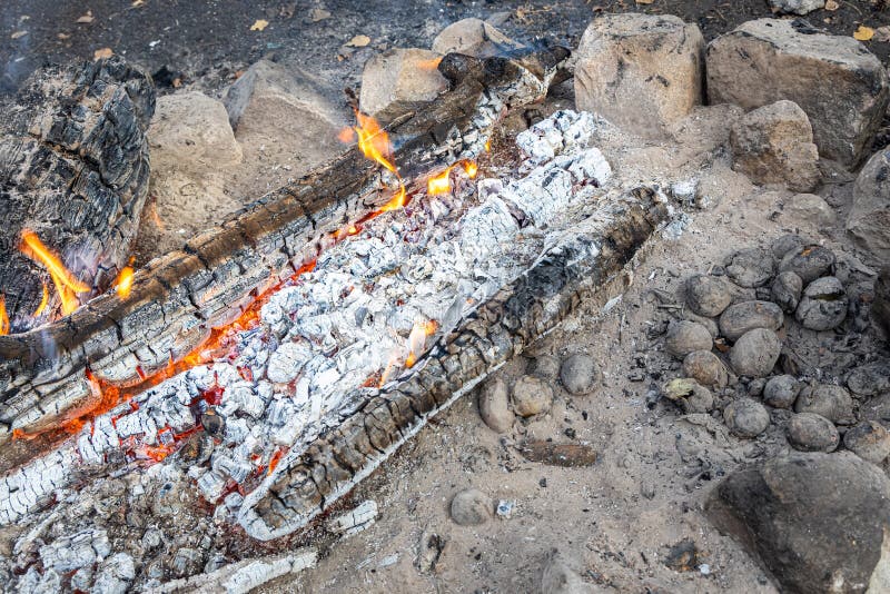 Baked Potatoes and Gray Big Stones and Trunks for a Bonfire are in a ...