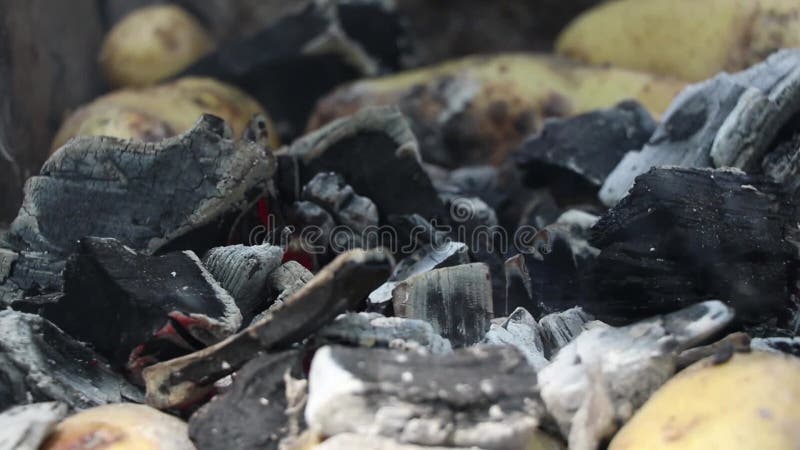 Baked Potatoes Over Charcoal on a Fire, Fried Potatoes Over a Fire ...