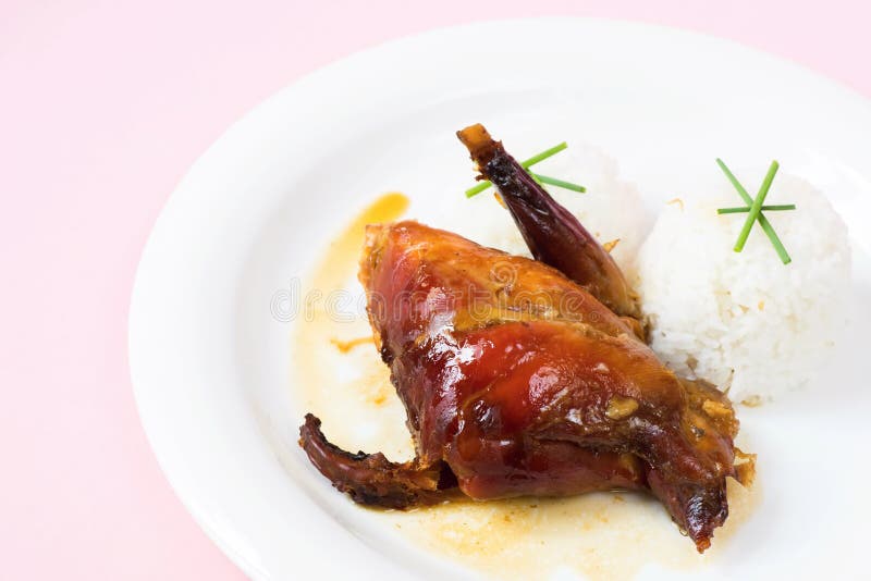 Rabbit Rice stock photo. Image of tasty, cooked, noodle - 224263700