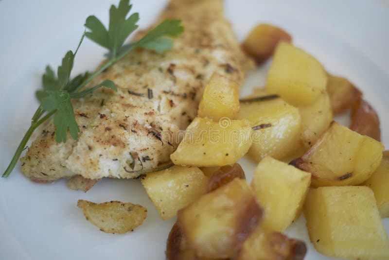 Baked Redfish with Potatoes Stock Image - Image of crumbs, dish: 124115939