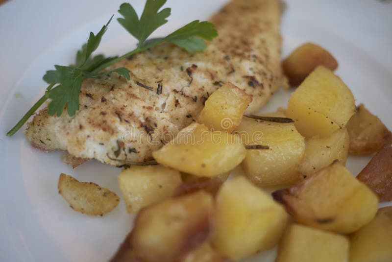 Baked Redfish with Potatoes Stock Photo - Image of fish, cuisine: 124116016