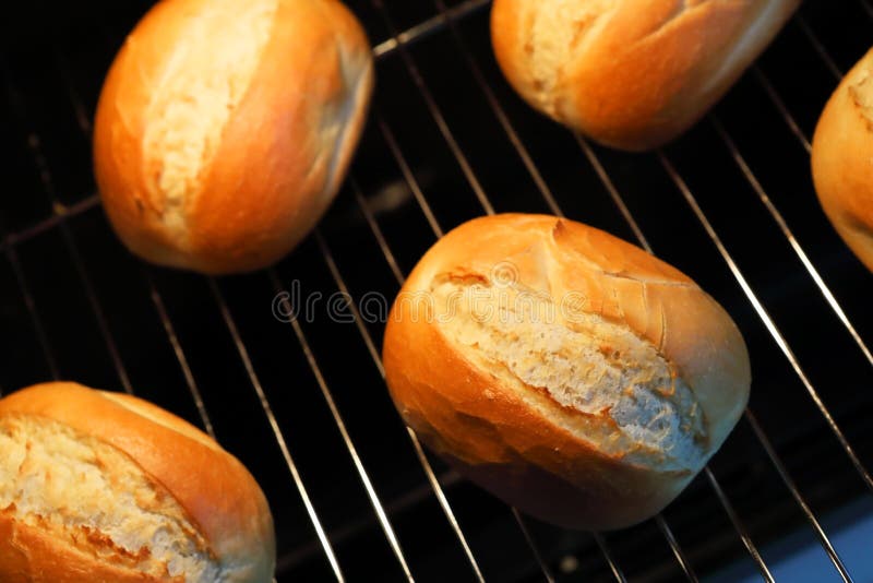 Rrolls in a oven stock image. Image of food, wheat, oven - 109584513