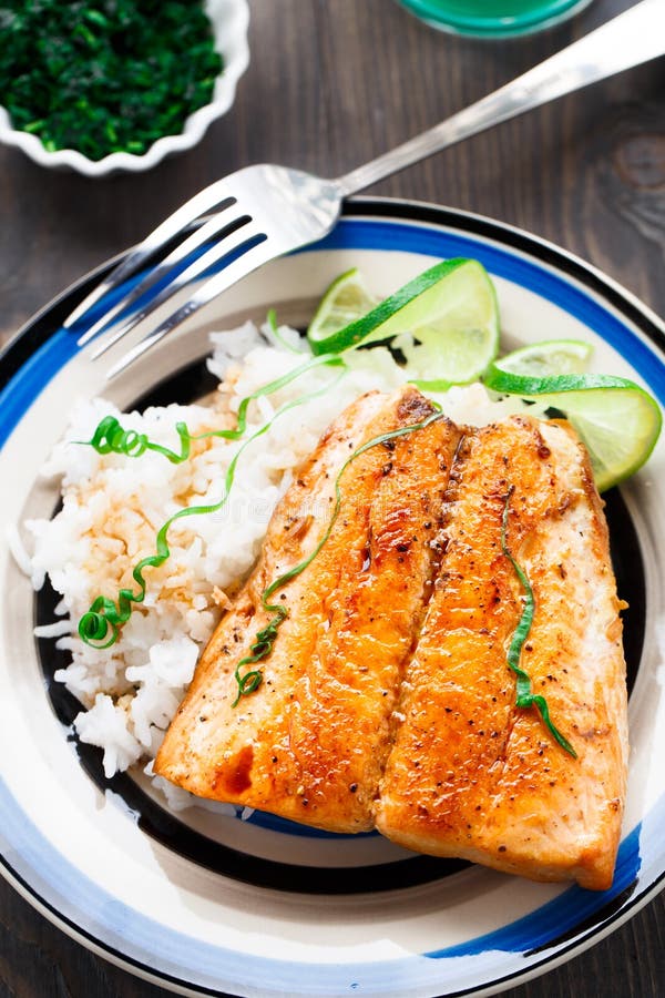 Baked salmon with rice stock photo. Image of baked, scallion - 38446572