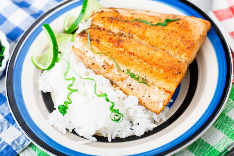 Baked salmon with rice stock photo. Image of baked, cooked - 38670182