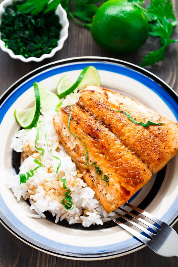 Baked salmon with rice stock photo. Image of tasty, cooked - 38670230