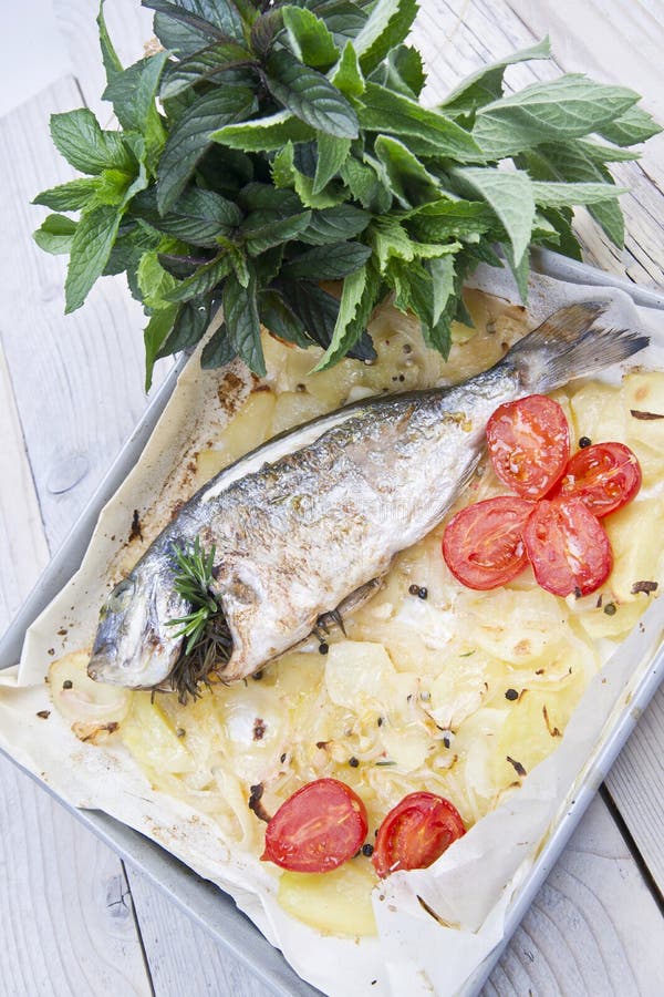 Baked Sea Bream stock photo. Image of plate, animal, gilthead - 33290288