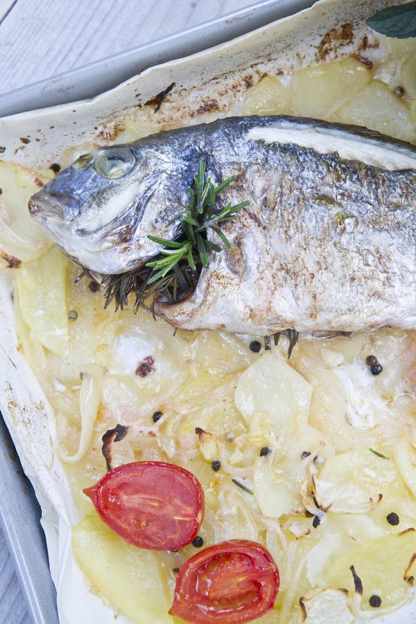 Baked Sea Bream stock photo. Image of garnish, diet, closeup - 33290388
