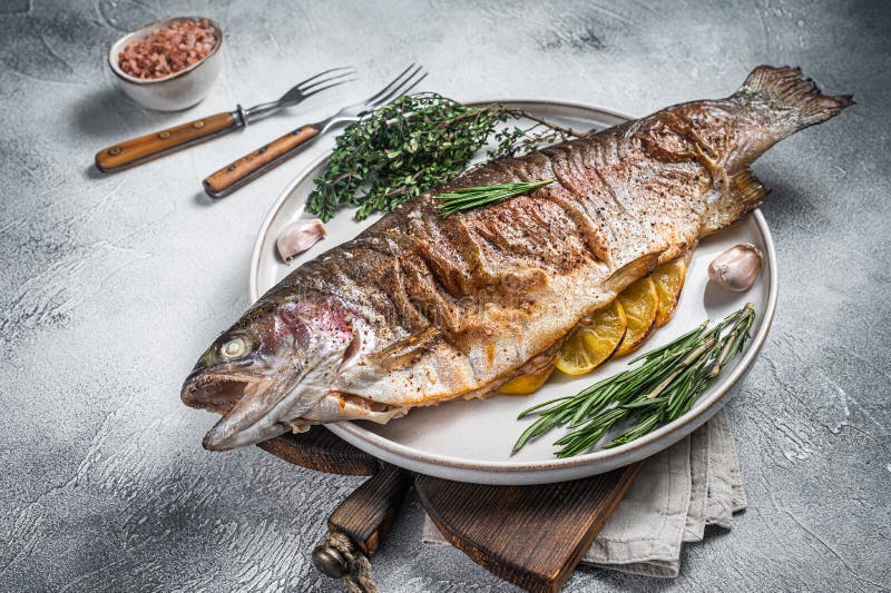 Silver Sea Trout Head Closeup Stock Photo - Image of trout, protien ...