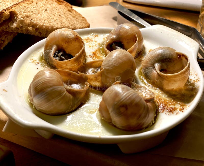 Baked snail dish stock image. Image of baking, restaurant - 336079341