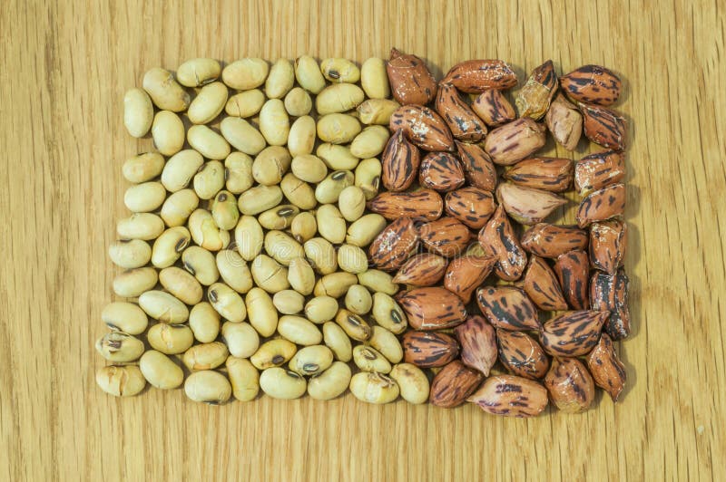 Baked soybean and peanut stock photo. Image of bean - 119902630