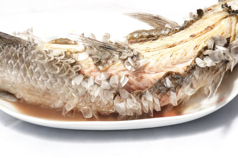 Baked Striped Snakehead Fish with Salt Coated. Stock Image - Image of ...