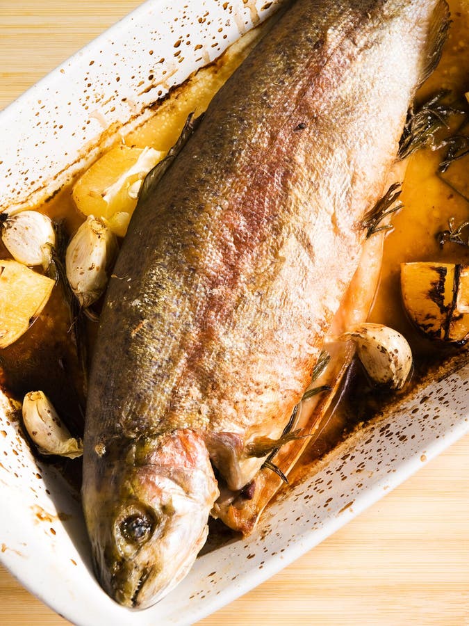 Baked trout with garlic stock photo. Image of still, angle - 48829506