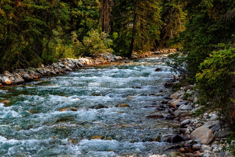 Baker Creek Banff National Park Alberta Canada Stock Photo - Image of ...