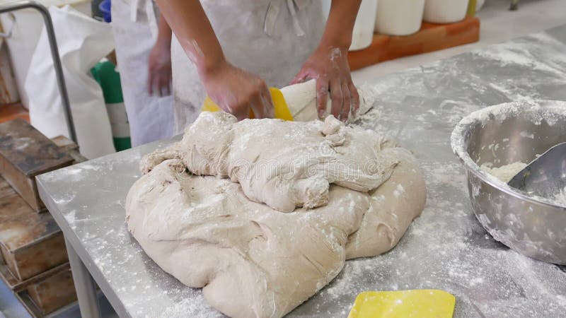 Ciabatta Bread Dough Cut by Bakery Worker Stock Footage - Video of ...