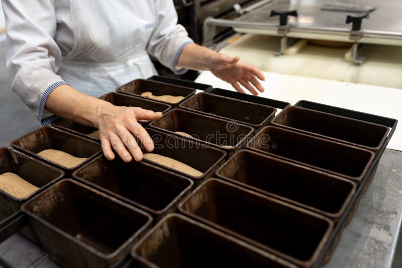 Baker Fills Baking Dish with Dough. Bread Production Stage in Small ...