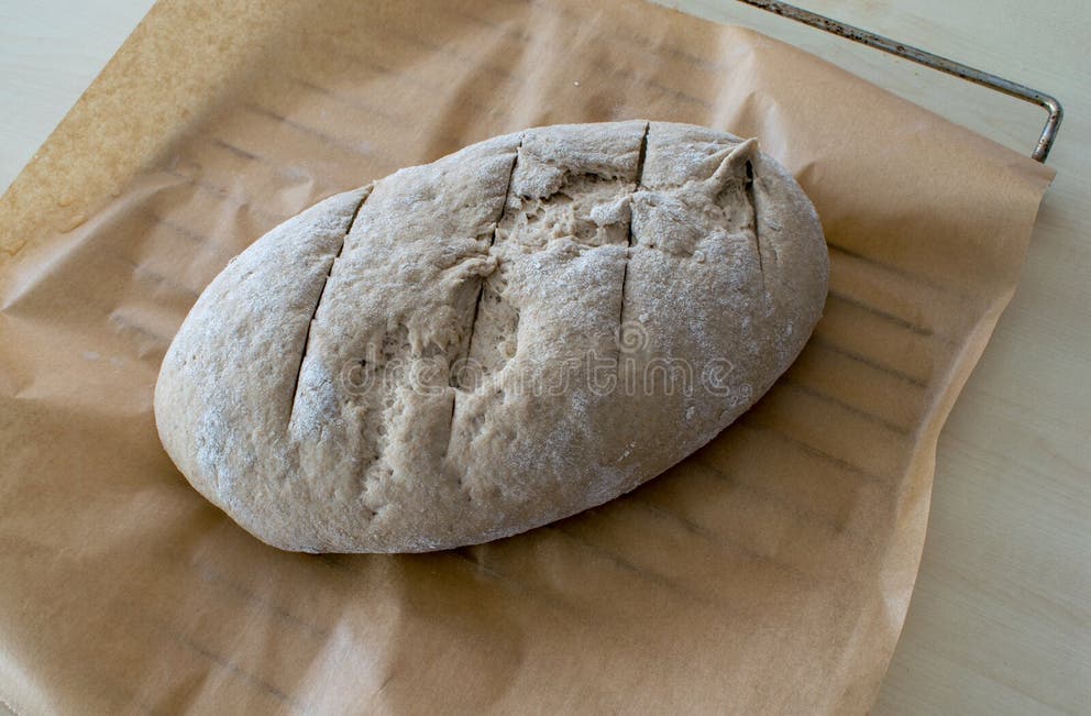 Baker Forms and Kneads a Loaf of Bread. Stock Photo - Image of flat ...