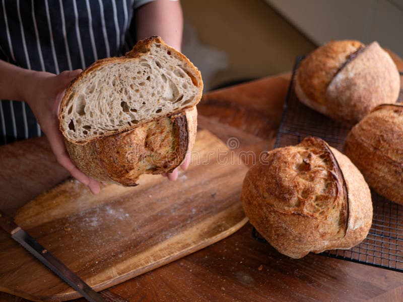 Baker Hand Presenting Homemade Sourdough Stock Image - Image of hand ...