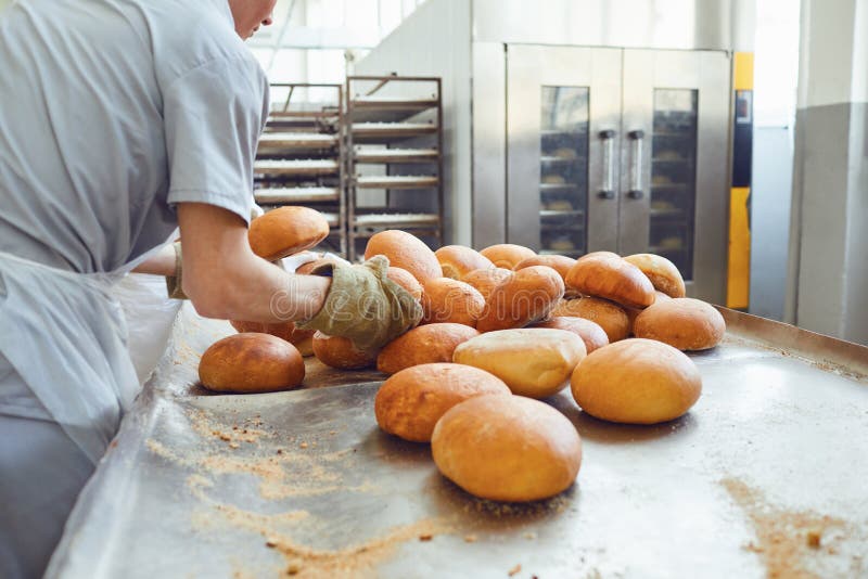Baker Hands Lay Fresh Bread at the Bakery. Stock Image - Image of ...