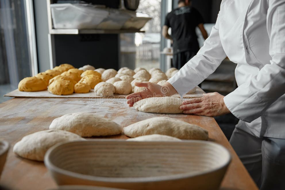 Baker Hands Preparing Formed Bread Dough for Proofing Stock Photo ...
