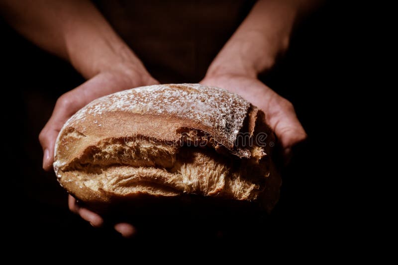 Baker Man Holding a Round Bread Stock Image - Image of sourdough, fresh ...