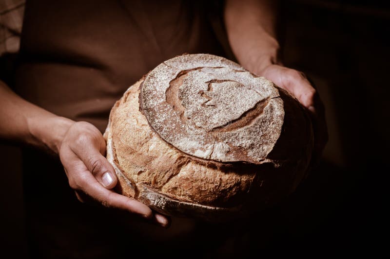 Baker Man Holding a Round Bread Stock Photo - Image of kitchen ...
