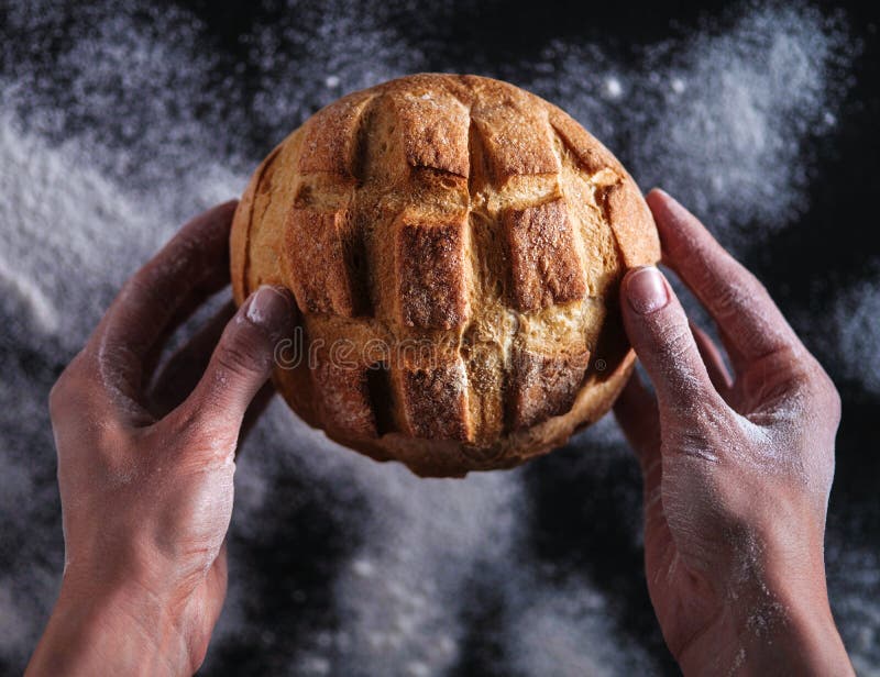 Baker`s Hands Hold Fresh Bread Stock Image - Image of cook, artisan ...