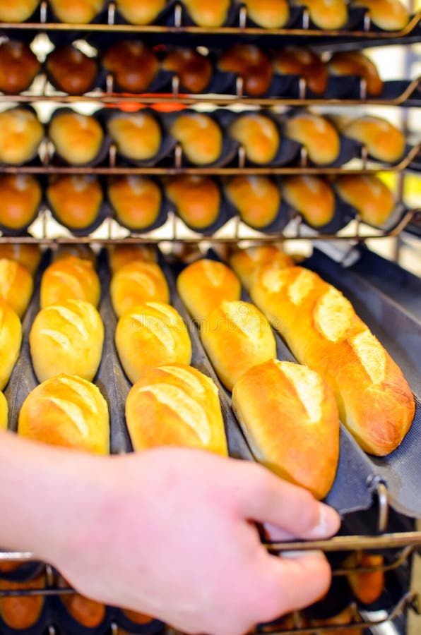 Hand of Baker or Apprentice Baker Taking Baguettes Out of Oven Stock ...