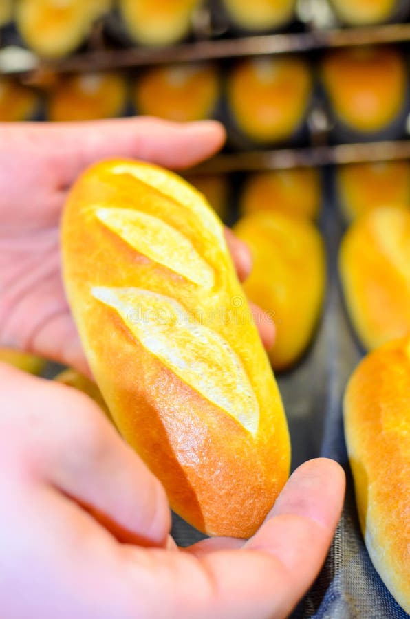 Hand of Baker or Apprentice Baker Taking Out the Milk Breads from the ...