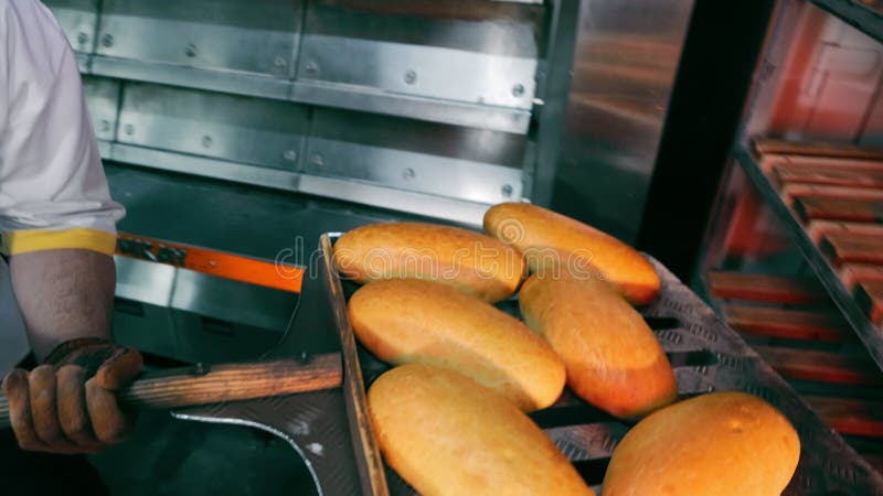 The Baker Takes the Bread Out of the Oven. Baking Bread at the Bakery ...