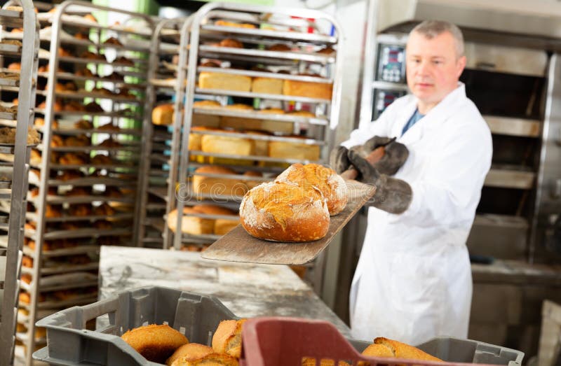 Baker Takes Out Hot Bread from the Oven Stock Image - Image of usual ...
