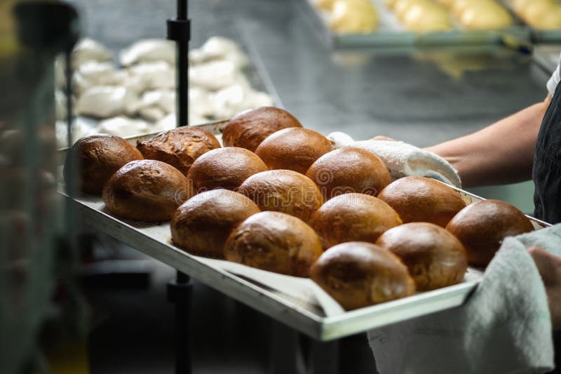 Baker Taking Baked Buns Out of the Oven Stock Image - Image of bake ...