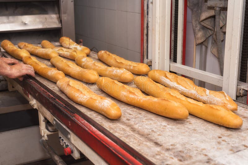Baker Taking Out Fresh Baked Bread from the Industrial Oven Stock Photo ...