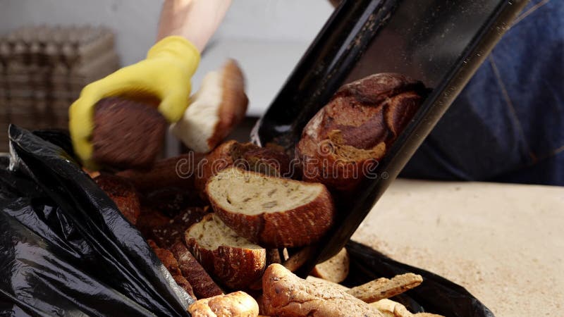 Baker Throws Unsold Bread in the Trash. Bakeries Waste Stock Footage ...