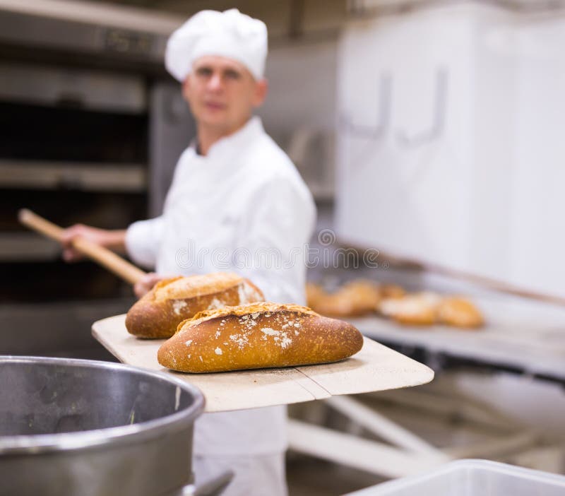 Chef with Ban Bread on Shovel in Bakehouse Stock Photo - Image of ...