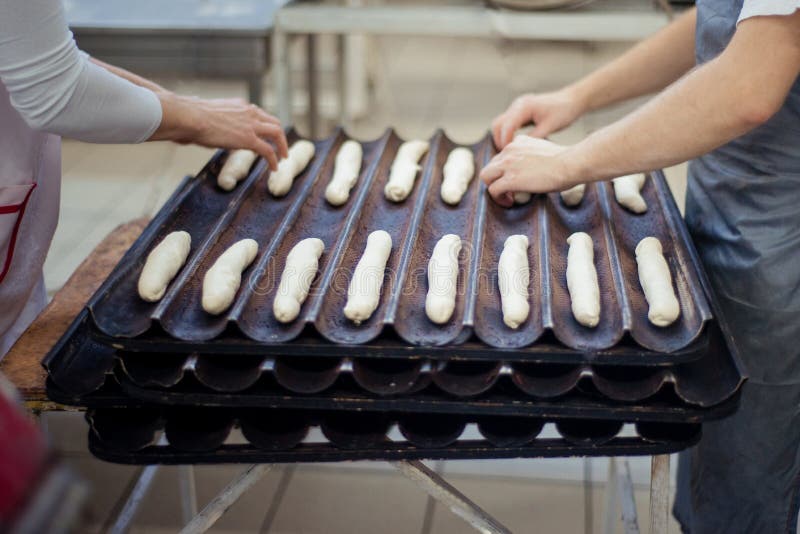 Bakers Lay Out the Dough Rolls on a Baking Tray Stock Photo - Image of ...