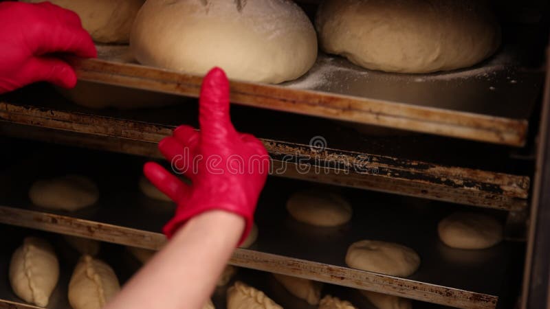 Bakery Baking Process in Factory. Bakery Activity. Process of Preparing ...