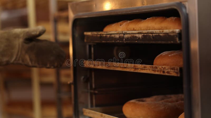 Bakery Baking Process in Factory. Bakery Activity. Process of Preparing ...