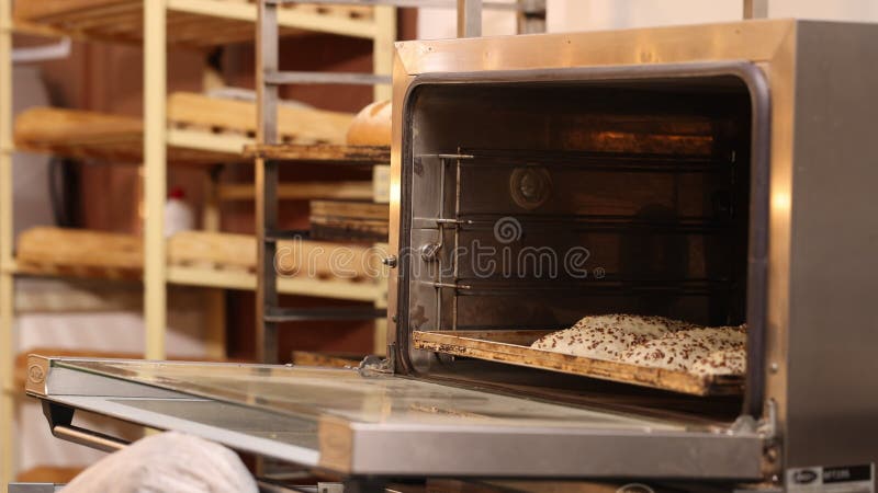 Bakery Baking Process in Factory. Bakery Activity. Process of Preparing ...