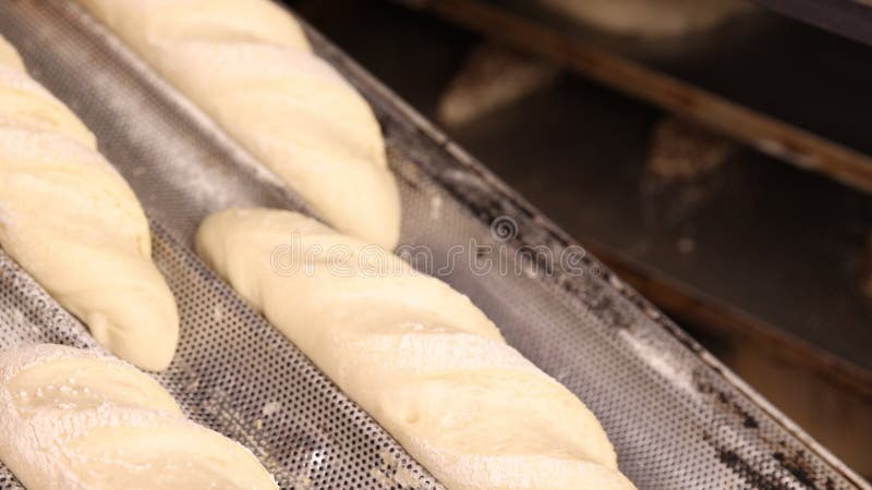 Bakery Baking Process in Factory. Bakery Activity. Process of Preparing ...