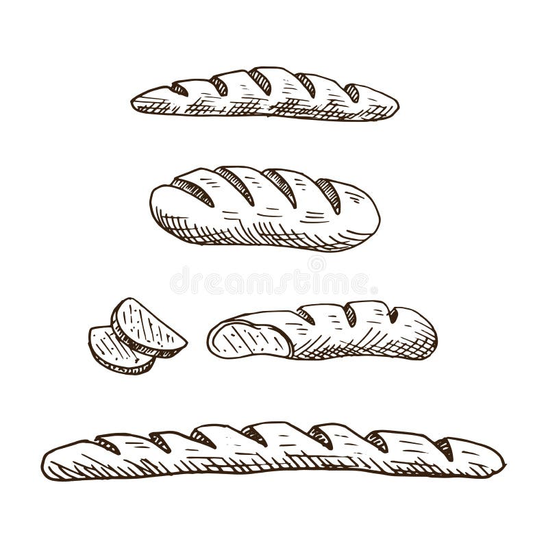 Bakery Set. Collection of Hand Drawn Bread Products. Sketch Style ...