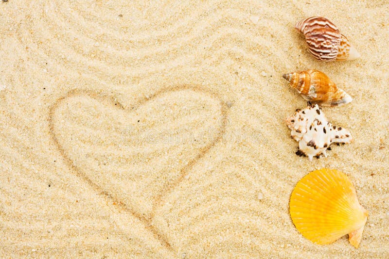 Bakgrundsstrand fotografering för bildbyråer. Bild av skal - 13264969