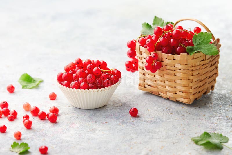 Fresh Red Currants stock image. Image of diet, dessert - 119232127