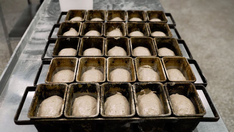 Baking Dough Rising in Rectangular Bread Loaf Pans. Stock Image - Image ...